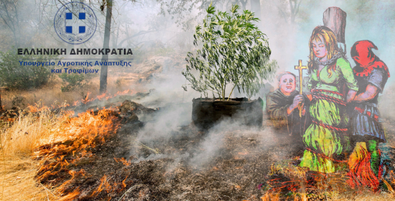 Στην Ελλάδα την καίμε την κλωστική κάνναβη - Νόμος του κράτους η καύση ...
